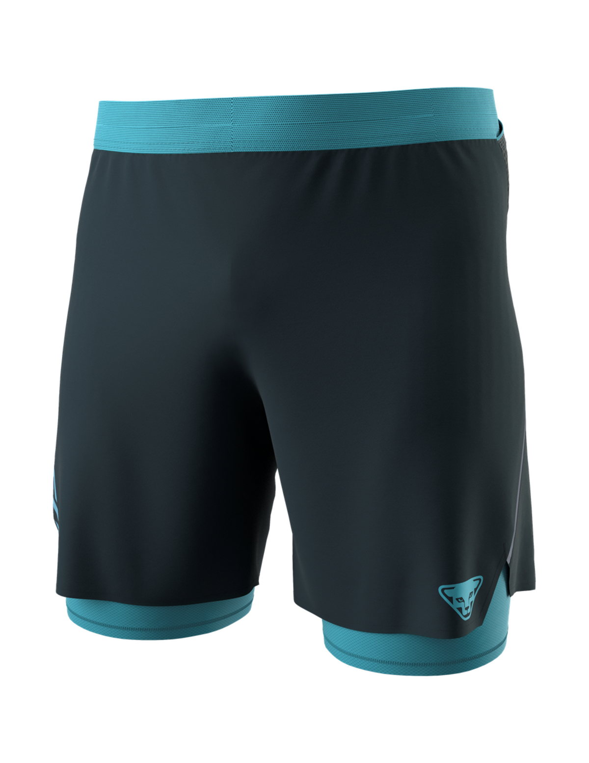 DYNAFIT Short de Trail 2-en-1 Dynafit Alpine Pro Homme Blueberry/Storm ...